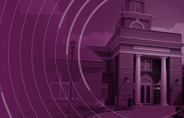 Risk Program Solutions: RPA