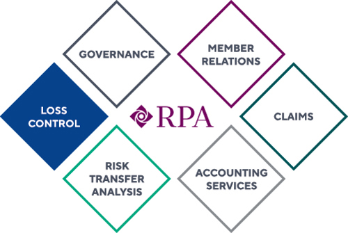 Risk Transfer Analysis: RPA